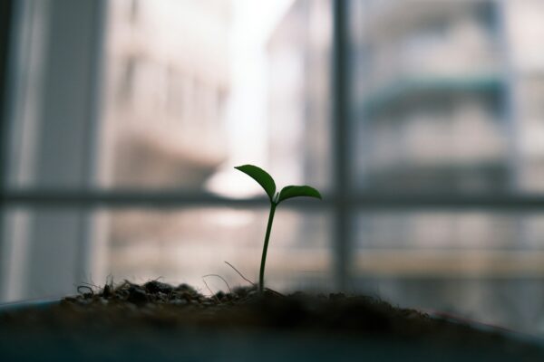 15 Personal Growth Goals Examples to Level Up Your Life - Men’s Wellness