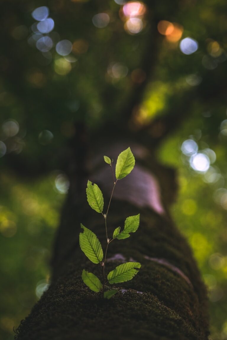 Self Growth Goals: 15 Powerful Ways to Become the Best Version of ...